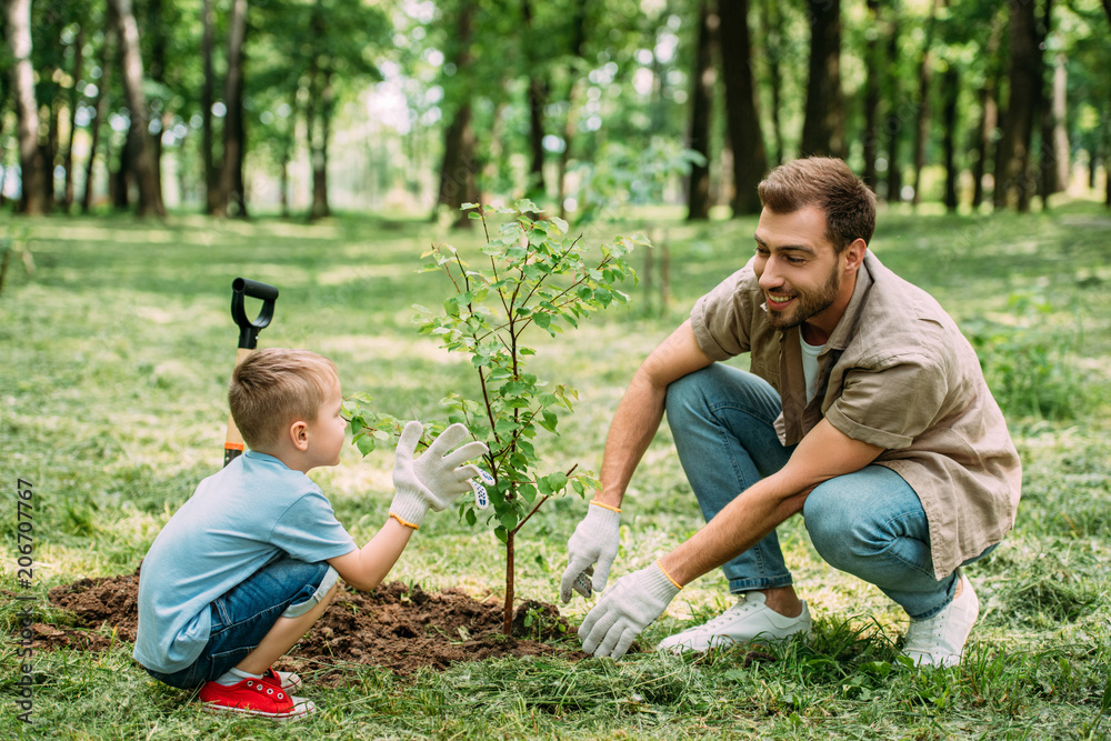 happy father and son planting tree at park Stock Photo | Adobe Stock