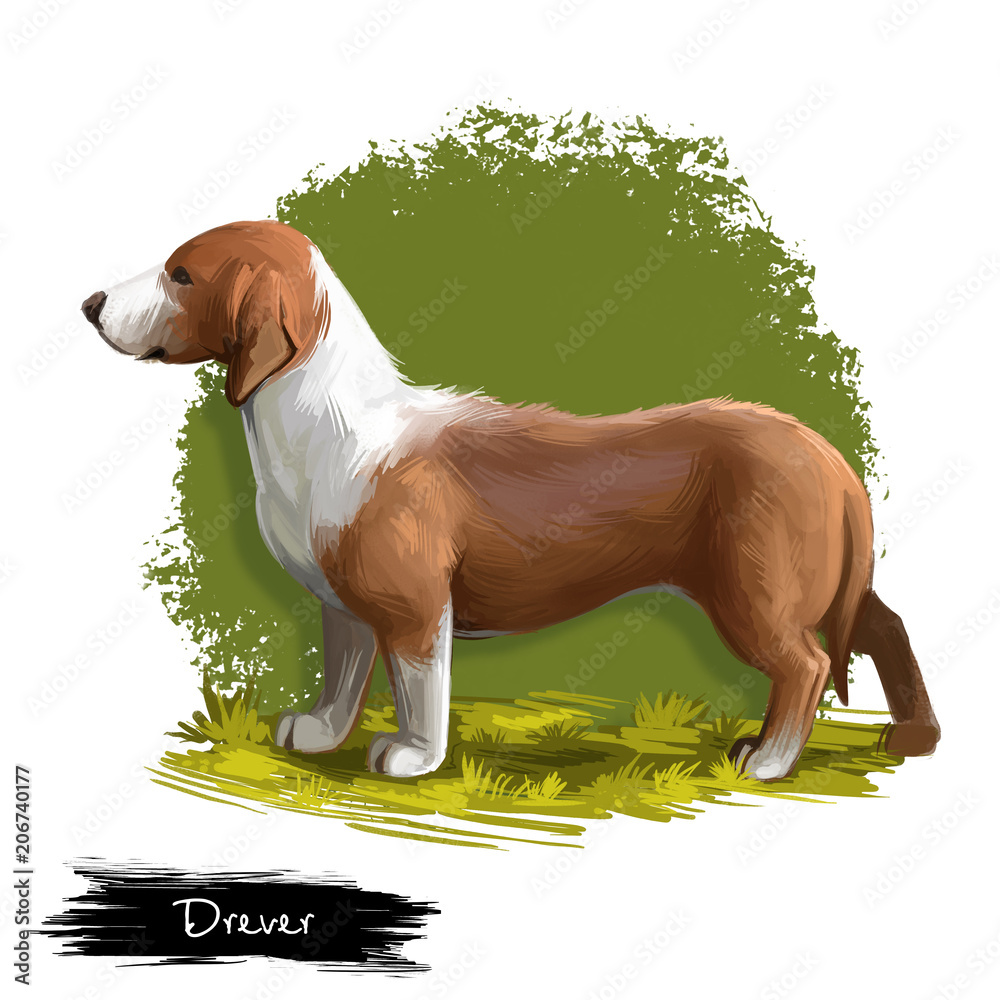 Drever