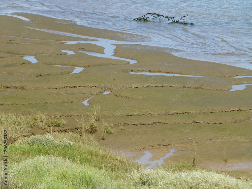Las Marismas del Odiel, reserva y espacio natural de la biosfera por la ...
