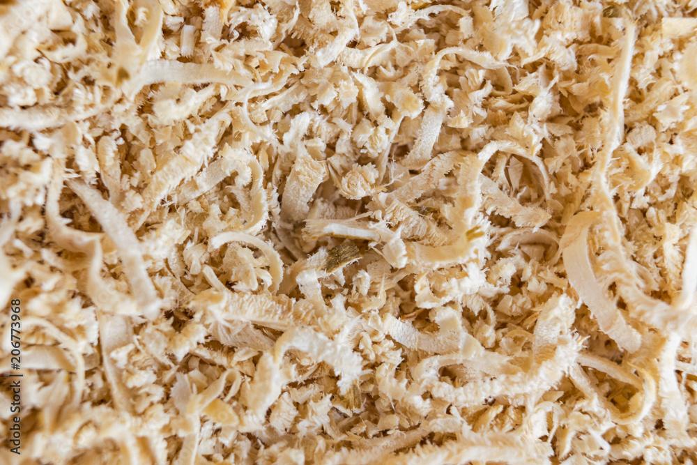Wood sawdust background closeup. Sawdust floor texture. Top view ...