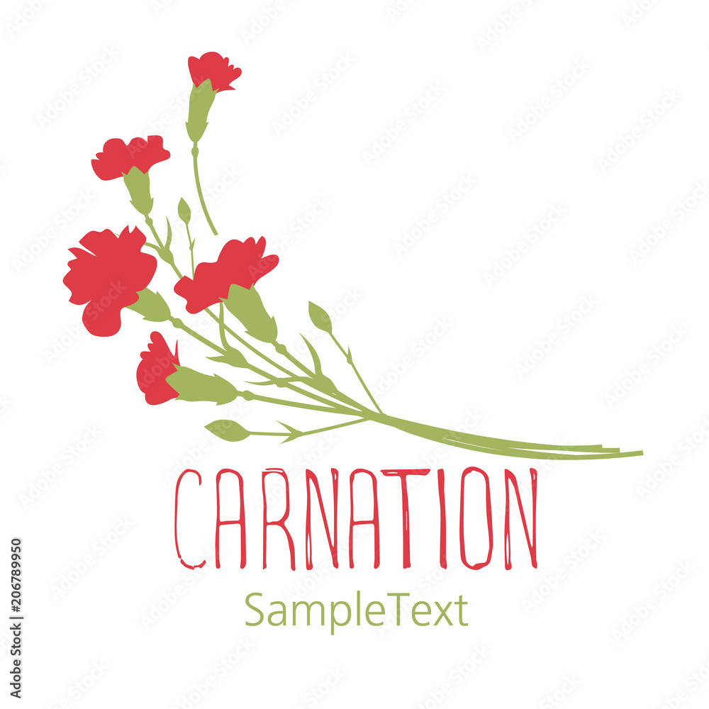 Carnation flowers. Logo design. Text hand drawn. Isolated on white ...