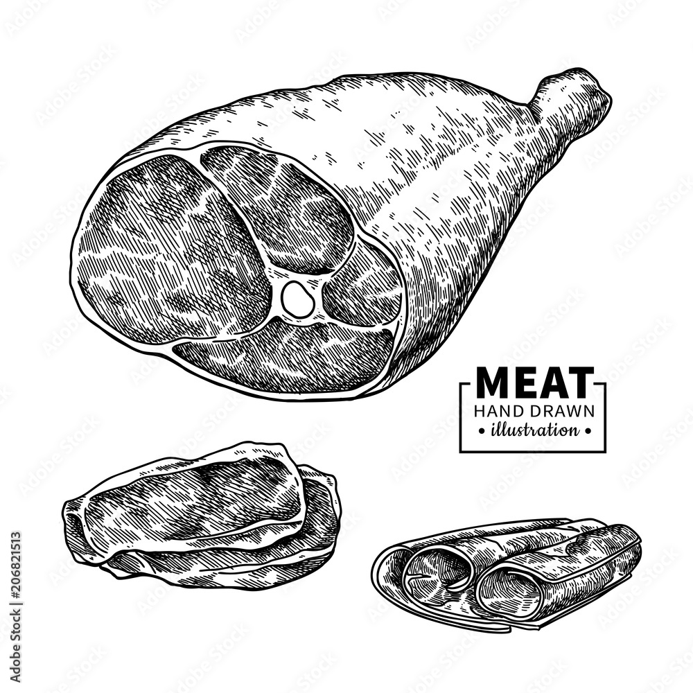 Parma ham vector drawing. Hand drawn hamon meat illustration. Italian ...