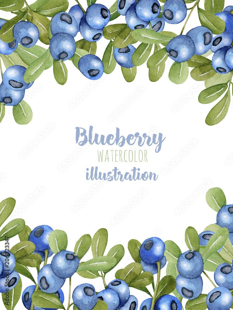 Blueberry Border Clipart