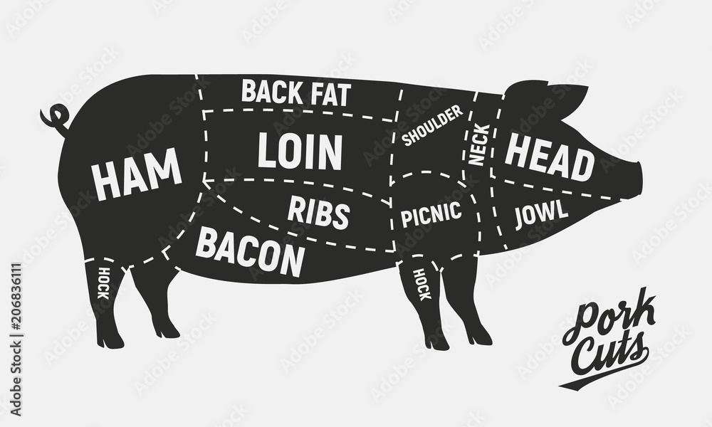 Meat cuts. Pork cuts. Vintage Poster for butcher shop. Retro diagram ...