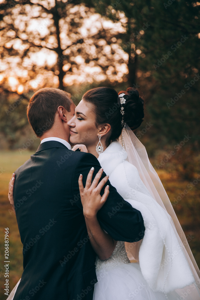 Couple in Love. The bride and groom. Close portrait silhouette in love ...