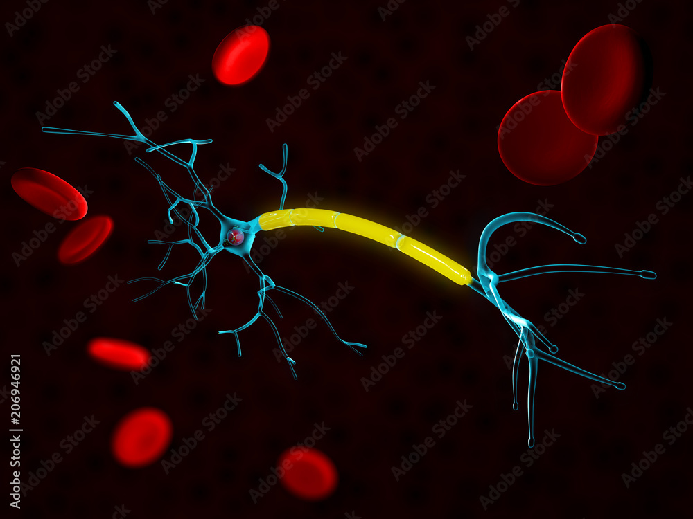 Neuron anatomy with cell blood 3d Illustration, isolated black ...