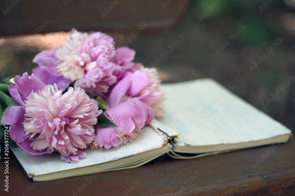 Spring concept with an open book, peons on pages and woman hand ...