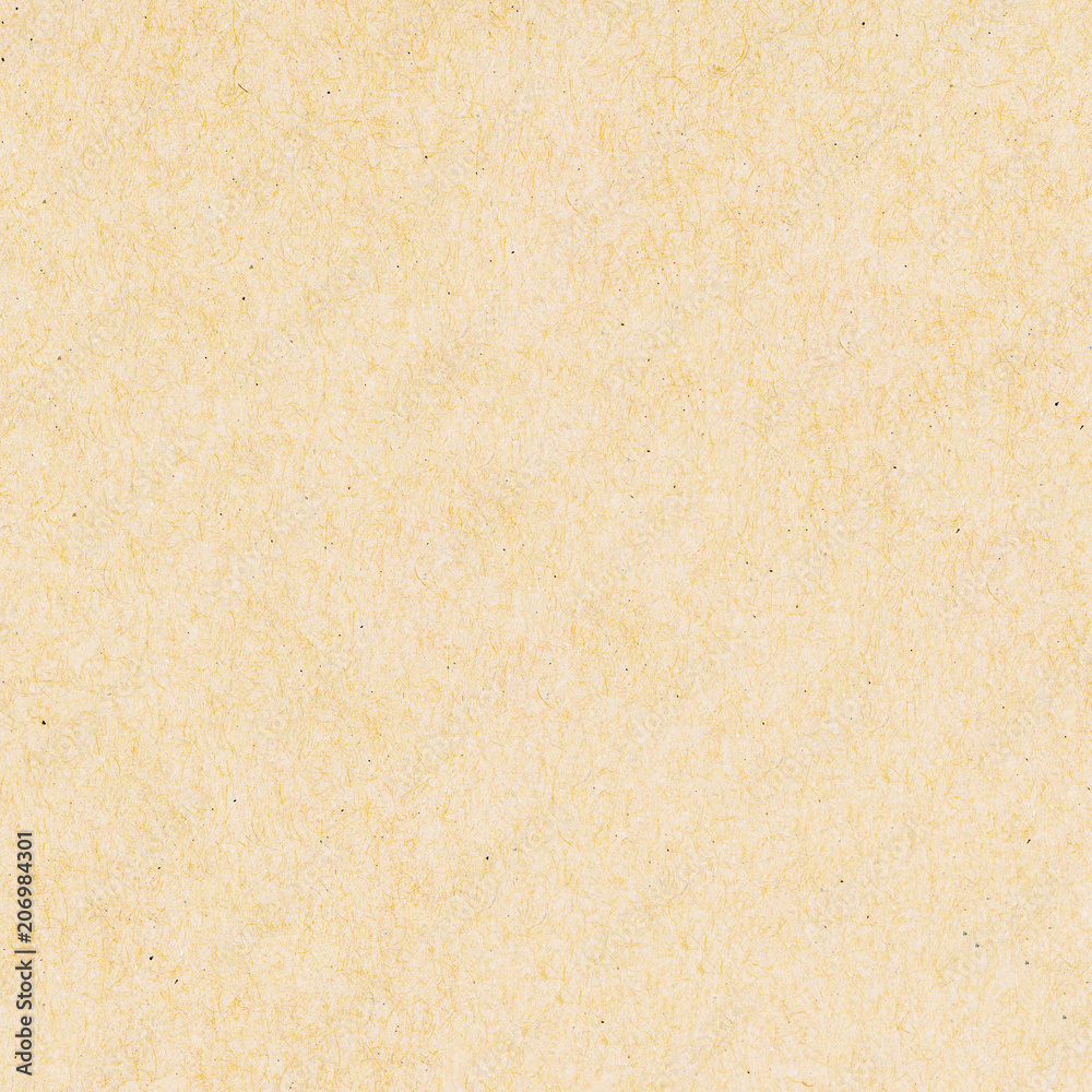 Light Tan Paper Background