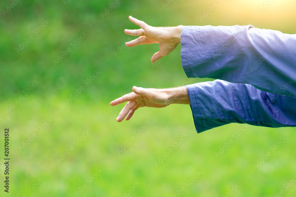 Detail of hand positions of a practicing of Tai Chi Chuan in outdoor ...