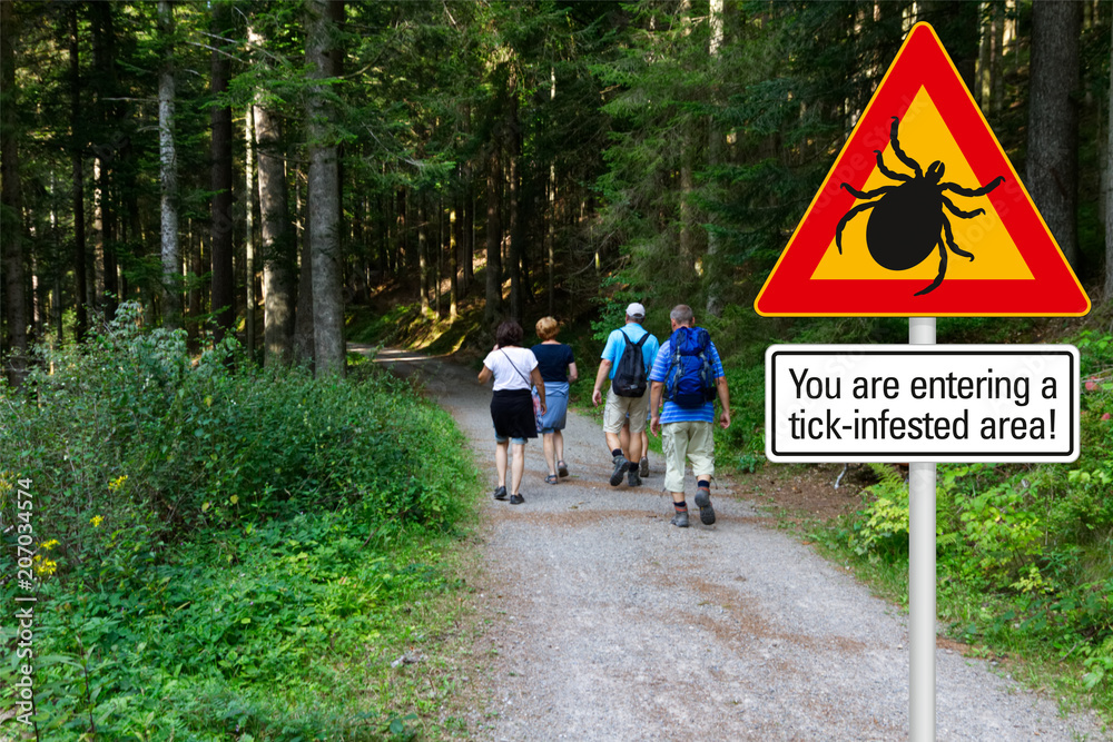 Beware of ticks in infested area with hikers Stock Photo | Adobe Stock