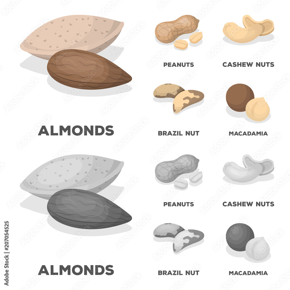 All Kinds Of Nuts