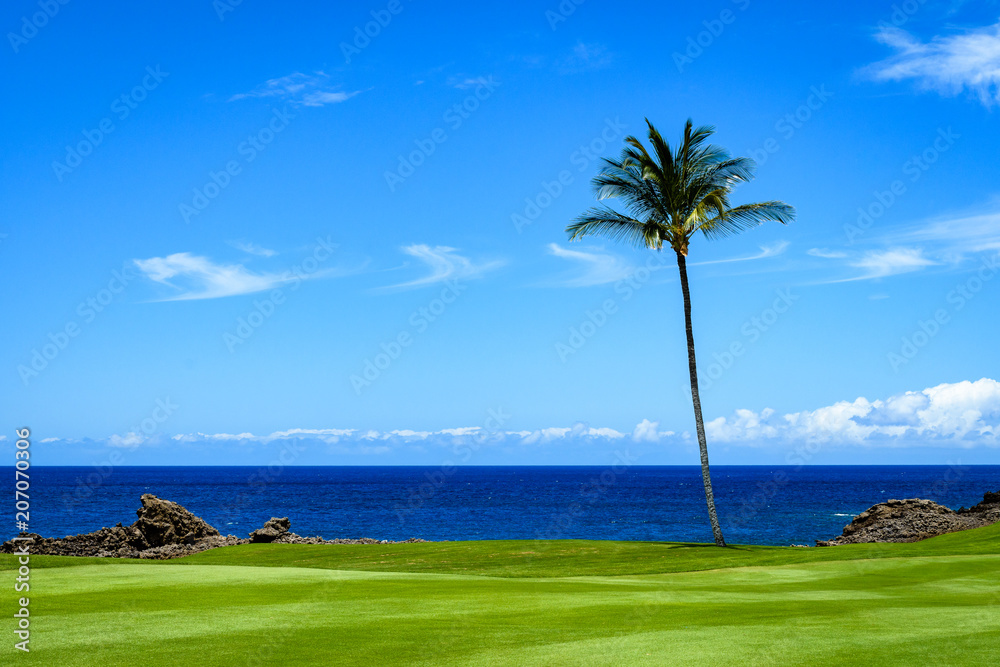 Sunny day on a tropical golf course fairway with the putting green in ...