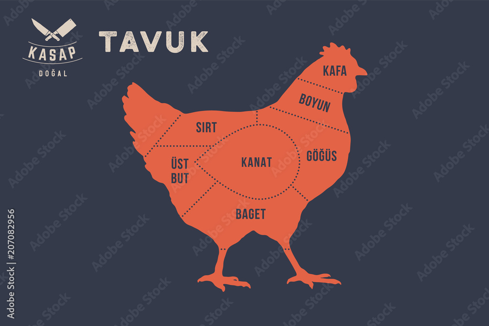Meat cuts. Poster Butcher diagram and scheme - Tavuk, Chicken ...