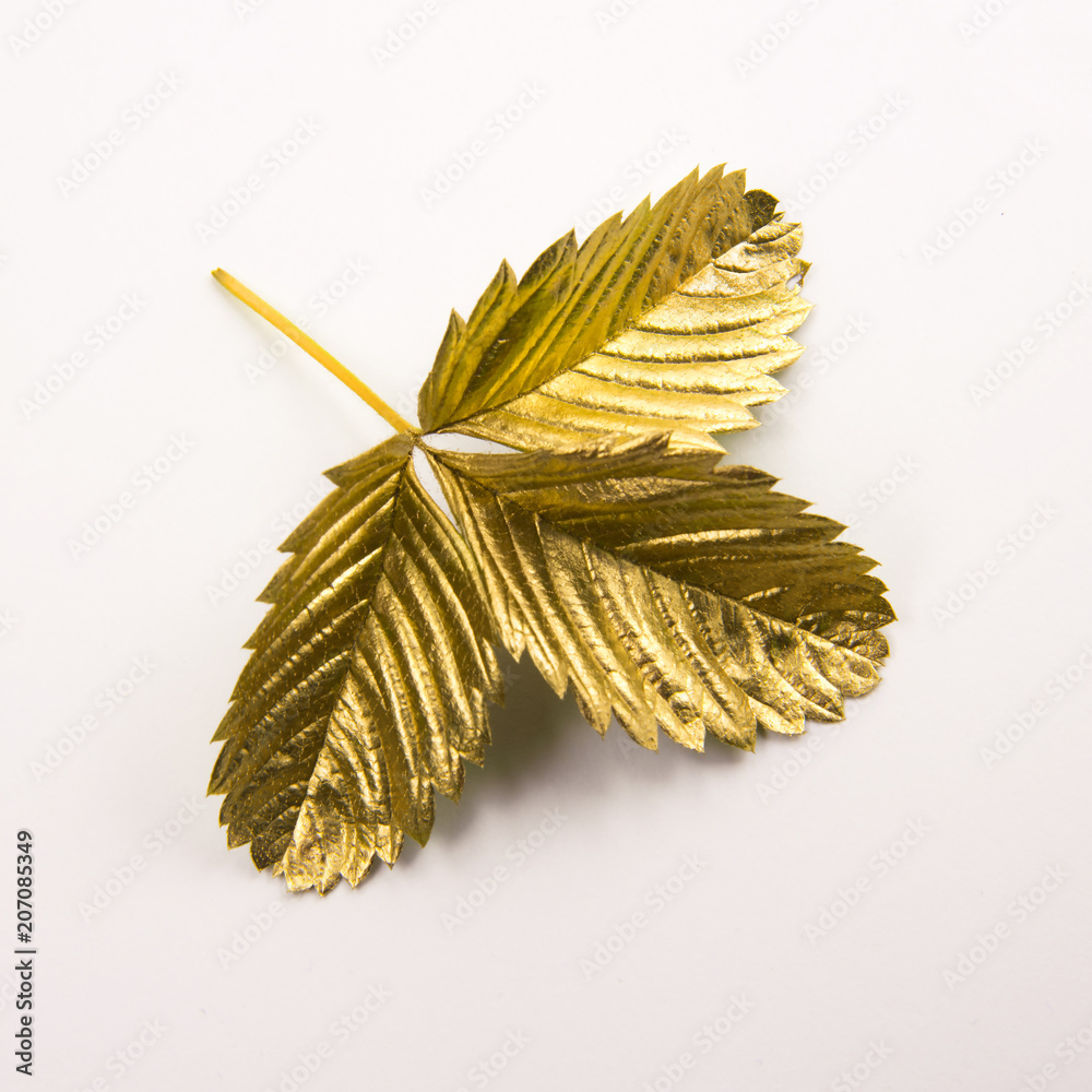 Gold leaf on white background Stock Photo | Adobe Stock