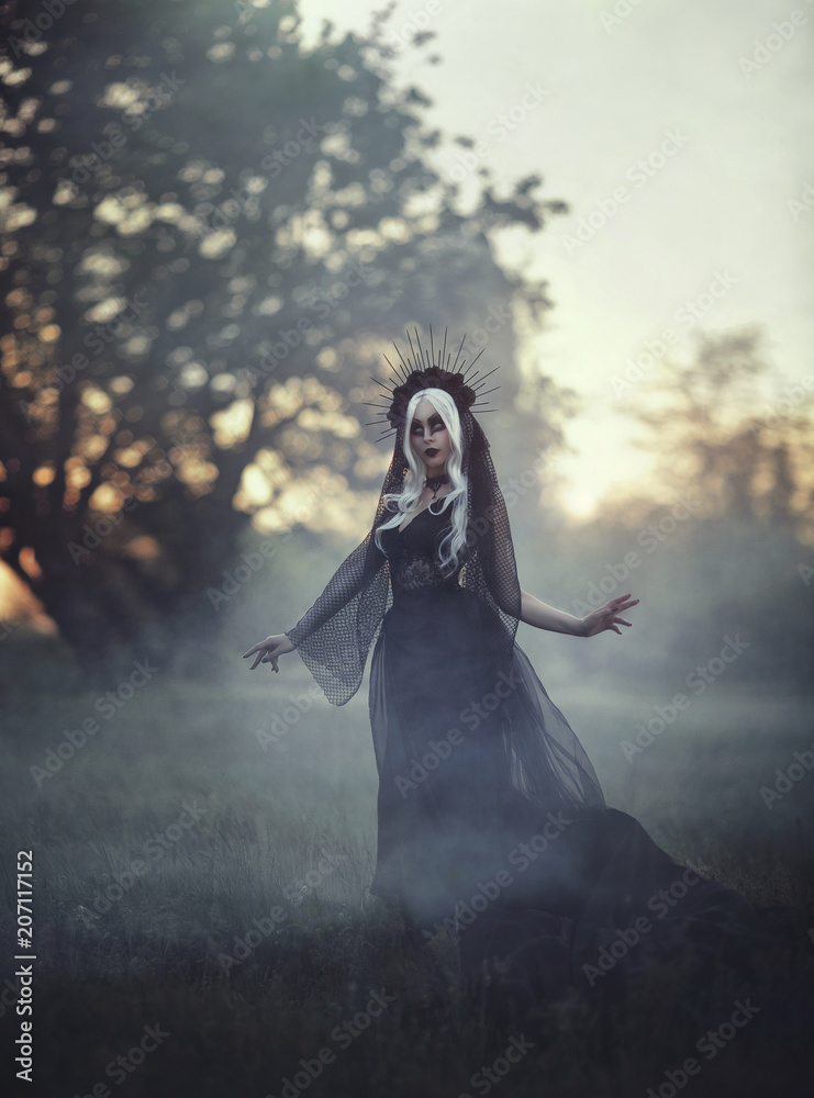 A beautiful woman witch with white hair in a crown and a black veil ...