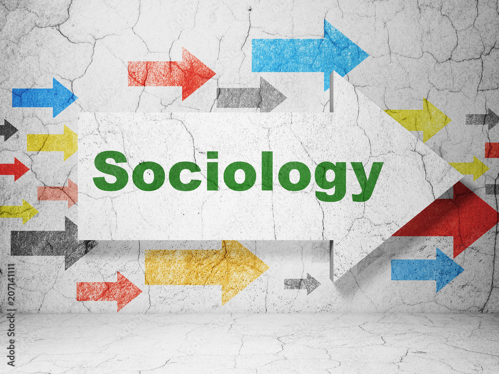 Education concept: arrow with Sociology on grunge textured concrete ...