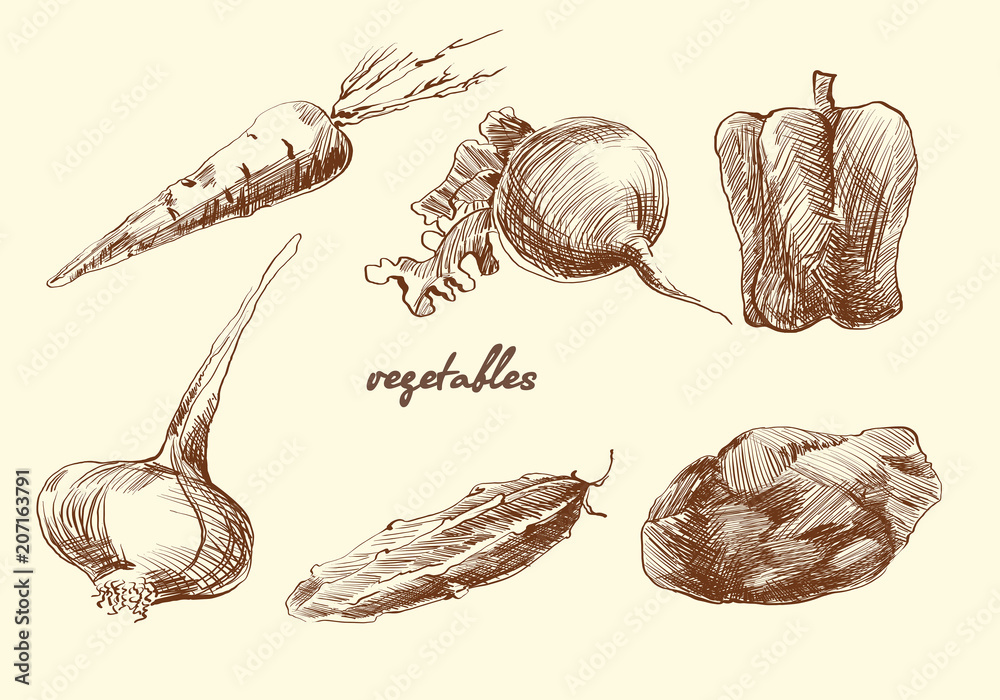 Vegetables Pencil Drawing
