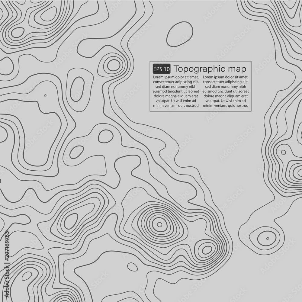 Topographic map. Topographical background. Linear graphics. Vector ...