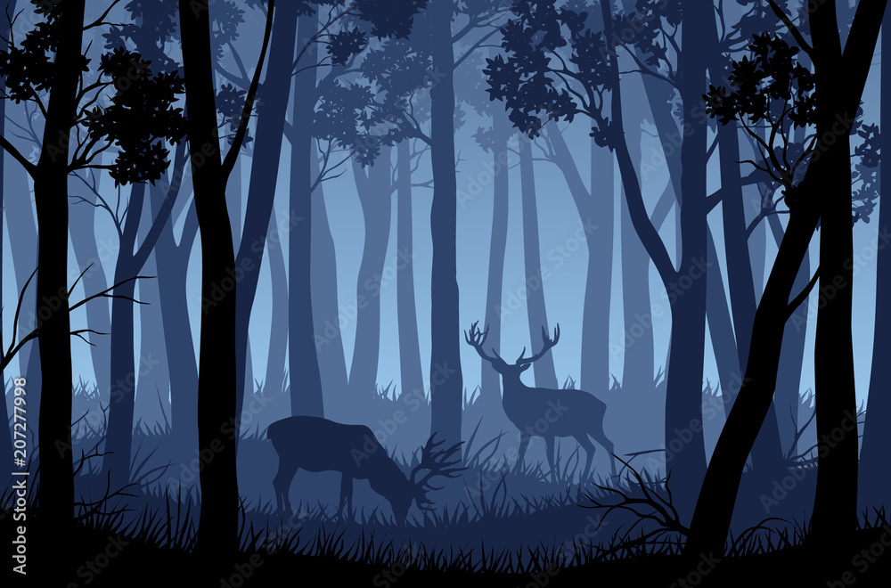 Blue Night Forest
