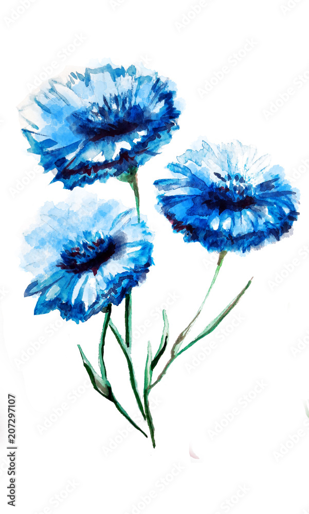 Blue Flower Drawing
