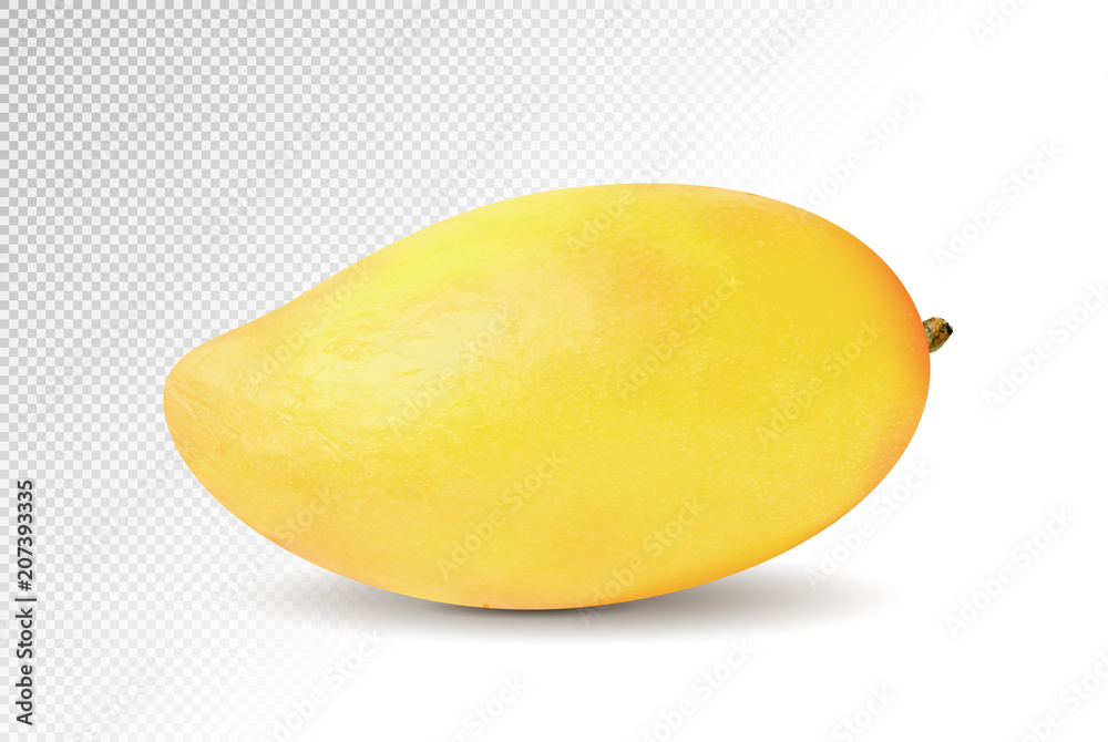 3D realistic yellow mango on transparent background, mesh vector ...