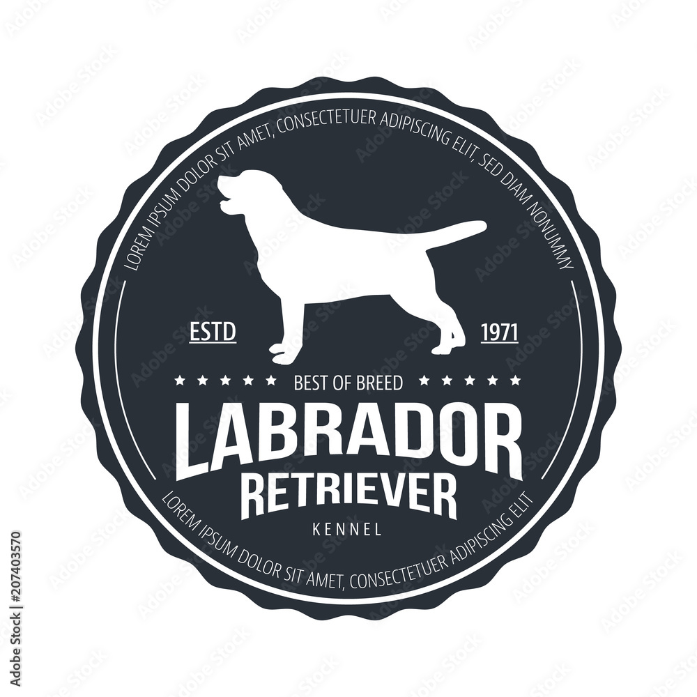Vintage Dog Badge. Labrador retriever logo. Vector illustration. Stock ...