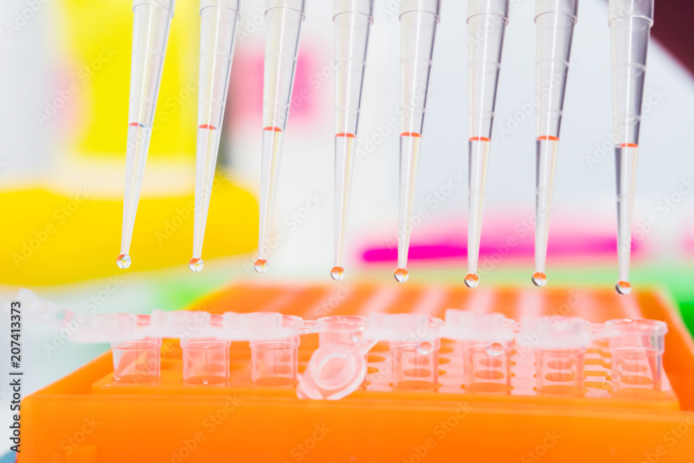 science 8 chanel pipette with drops of DNA Sample over laboratory test ...
