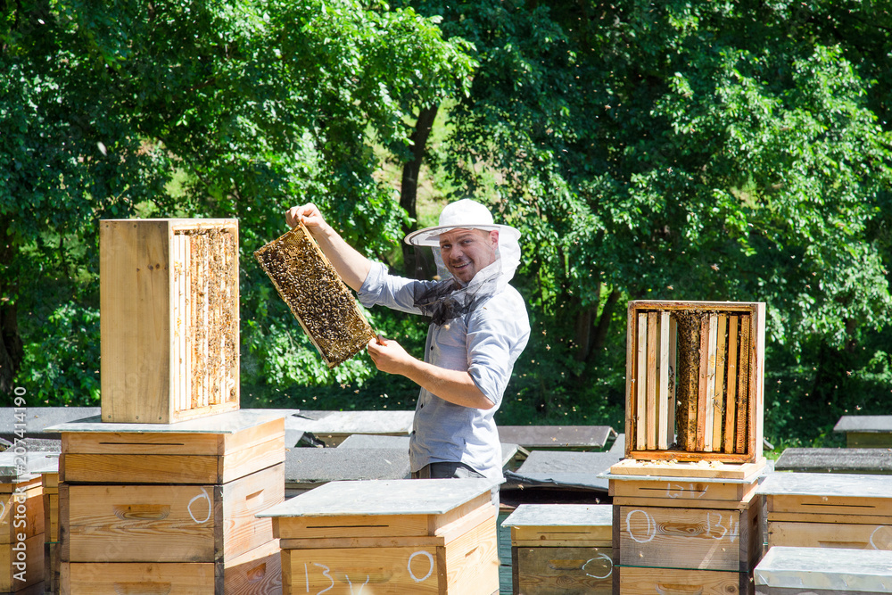 Beekeeper at work by the wooden bee hives. Young farmer in his farm ...