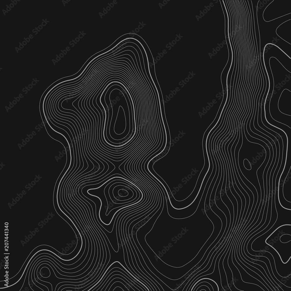 Topographic map. Topographical background. Linear graphics. Vector ...