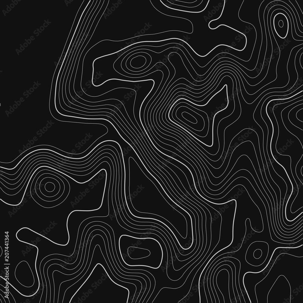 Topographic map. Topographical background. Linear graphics. Vector ...