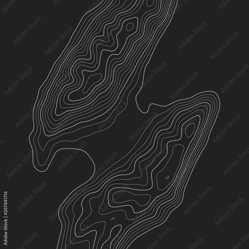 Topographic map. Topographical background. Linear graphics. Vector ...