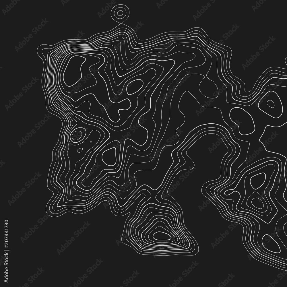 Topographic map. Topographical background. Linear graphics. Vector ...
