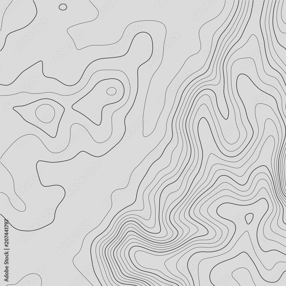 Topographic map. Topographical background. Linear graphics. Vector ...