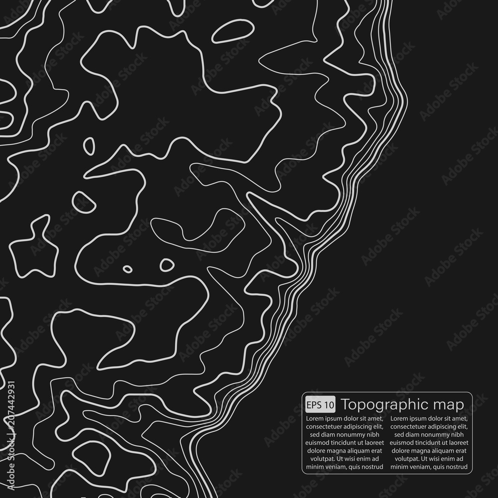 Topographic map. Topographical background. Linear graphics. Vector ...