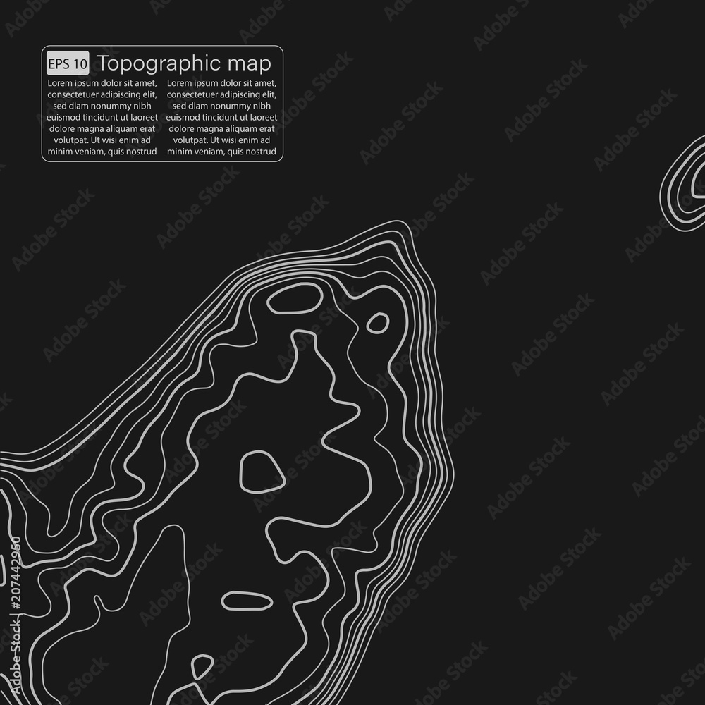 Topographic map. Topographical background. Linear graphics. Vector ...