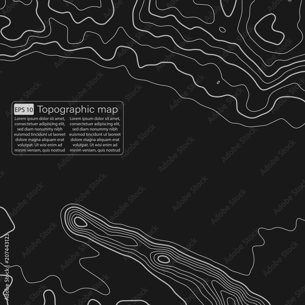 Topographic map. Topographical background. Linear graphics. Vector ...