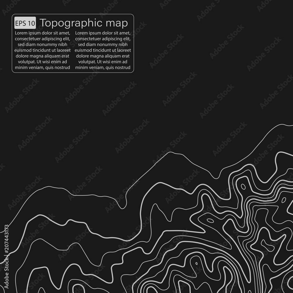 Topographic map. Topographical background. Linear graphics. Vector ...