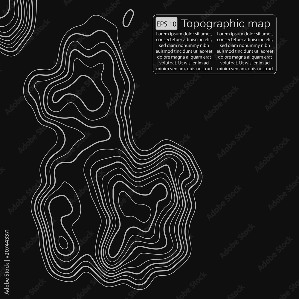Topographic map. Topographical background. Linear graphics. Vector ...