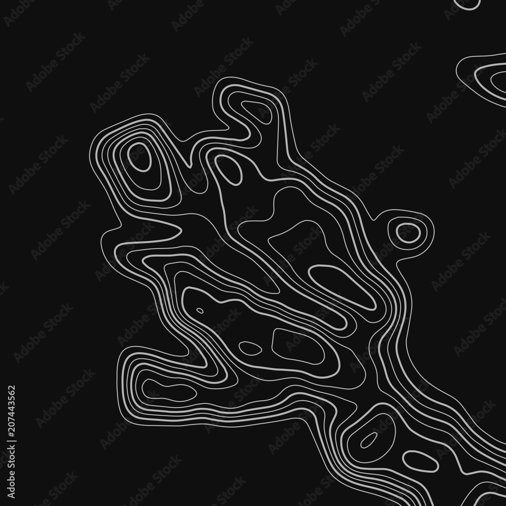 Topographic map. Topographical background. Linear graphics. Vector ...