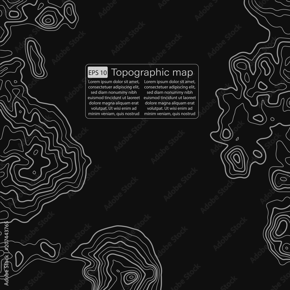 Topographic map. Topographical background. Linear graphics. Vector ...