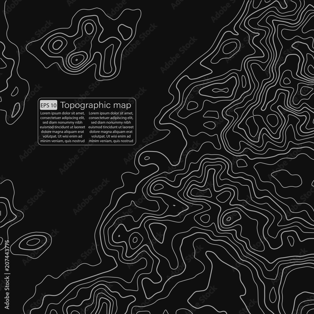 Topographic map. Topographical background. Linear graphics. Vector ...