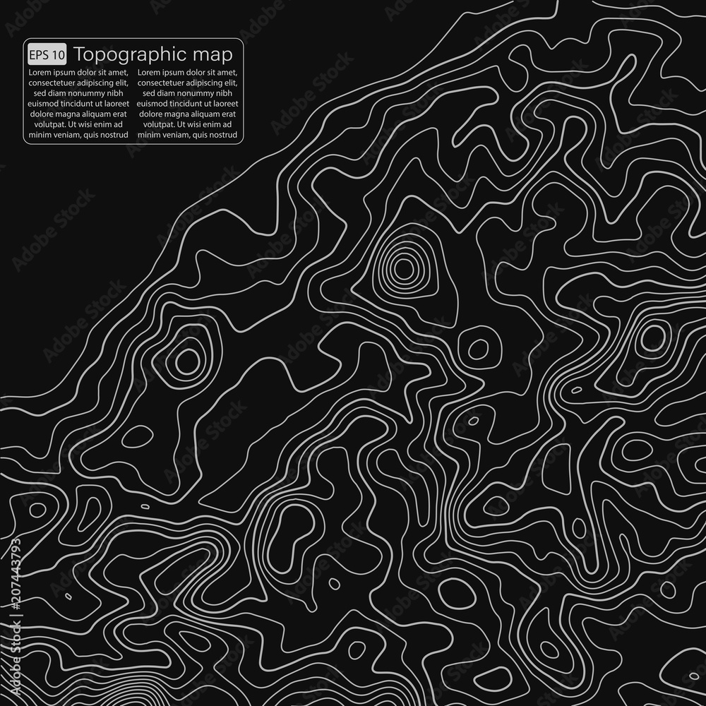 Topographic map. Topographical background. Linear graphics. Vector ...
