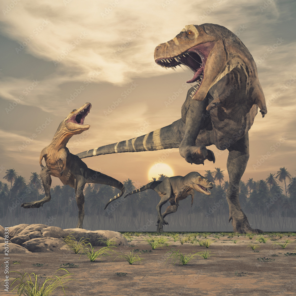 Three dinosaurs - tyrannosaurus rex. Stock Illustration | Adobe Stock