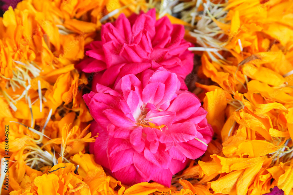 Onam Cultural Festival floral arrangement on the floor Stock Photo ...