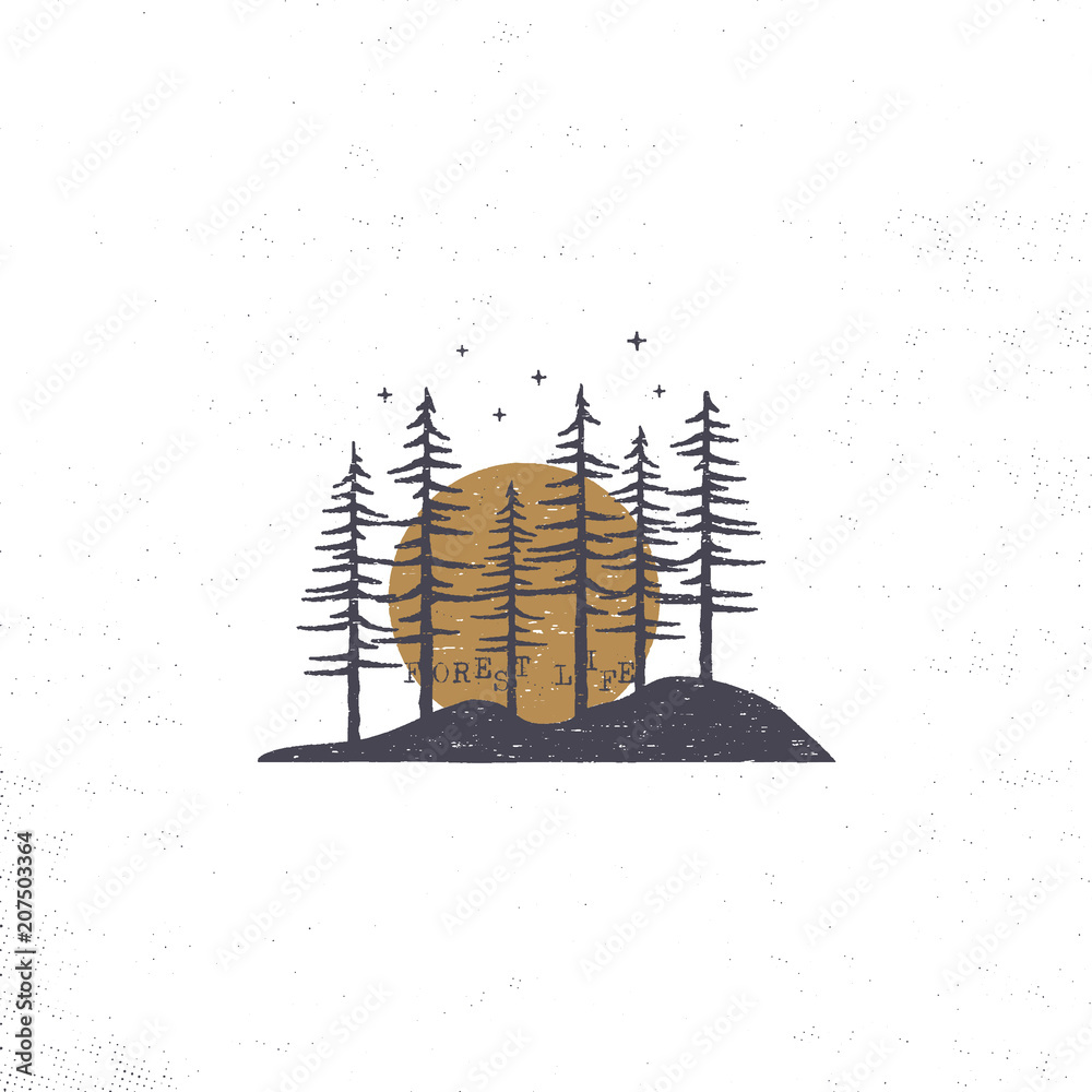 Hand drawn forest with sun concept. Pine trees textured vector ...