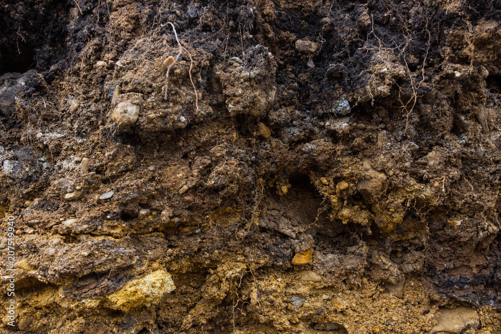 vertical section of land, different rocks, alumina, clay and others ...