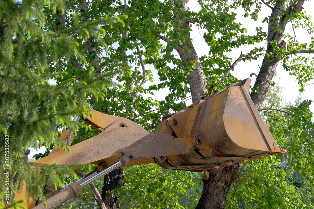 The tractor bucket breaks the branches of the tree with foliage. The ...