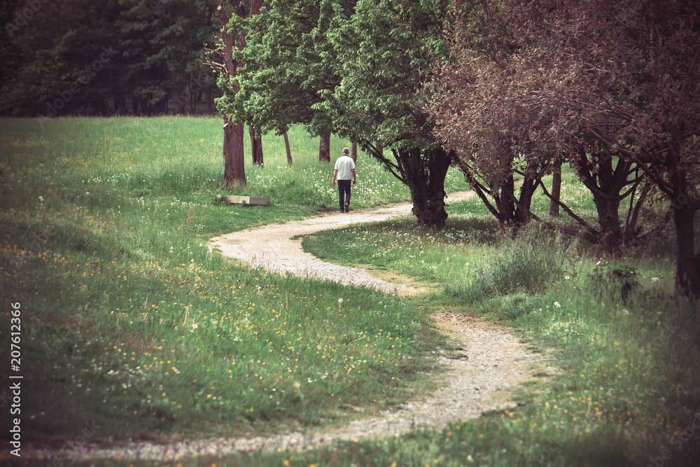 lonely man walking on a path, solitary person on footpath Stock Photo ...
