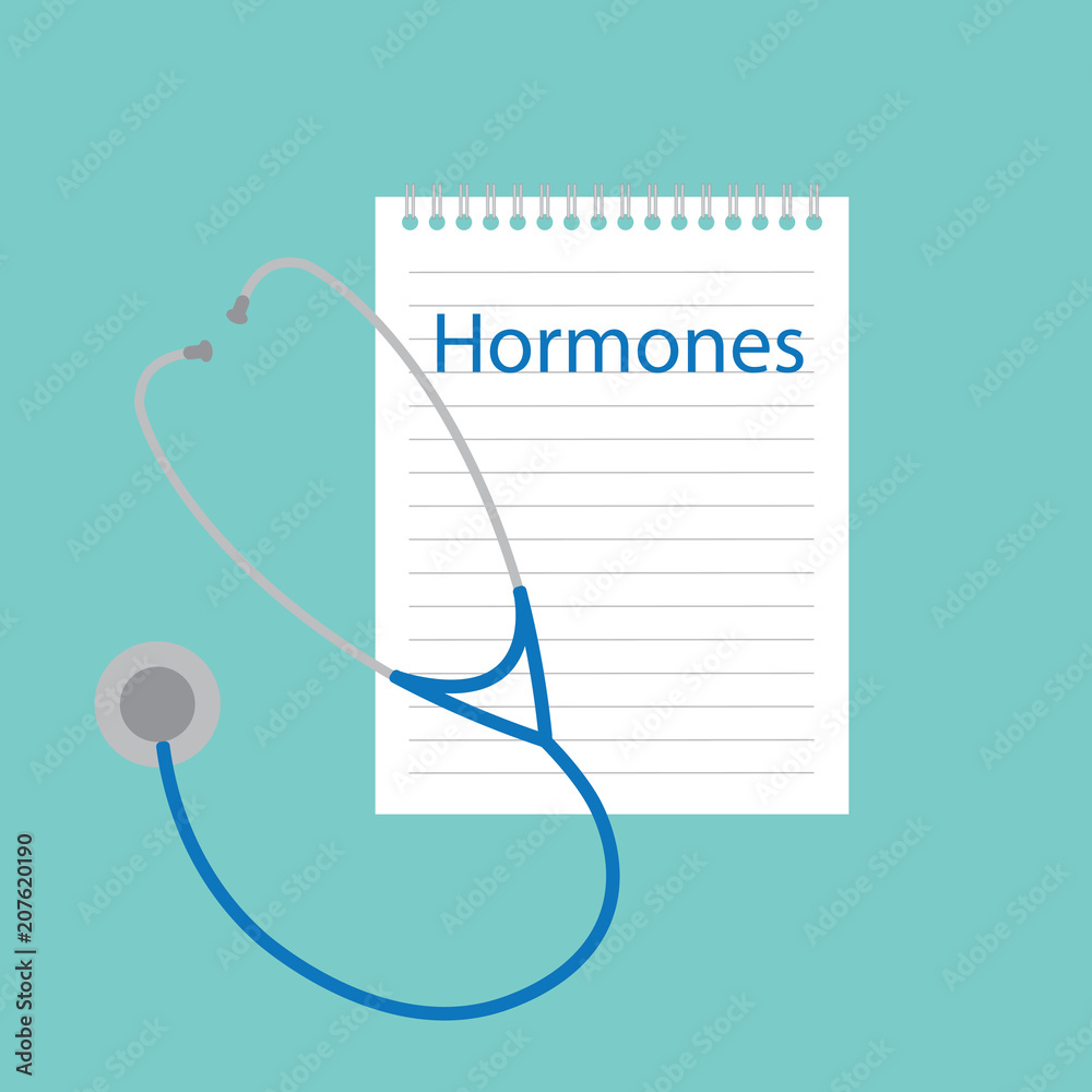 hormones written in notebook- vector illustration Stock Vector | Adobe ...
