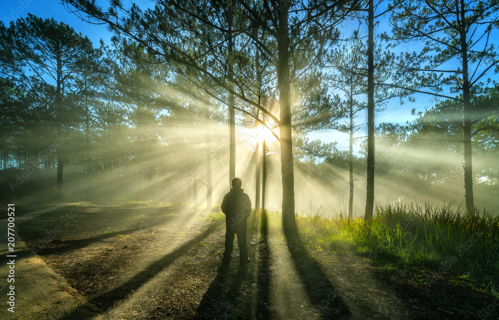 Sun Rays Silhouette